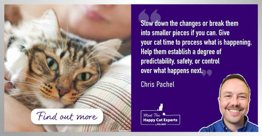 Transitions Are Hard on Cats: Happy Cat Expert Explains How to Help